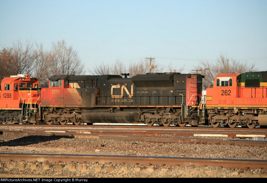 CN 8951